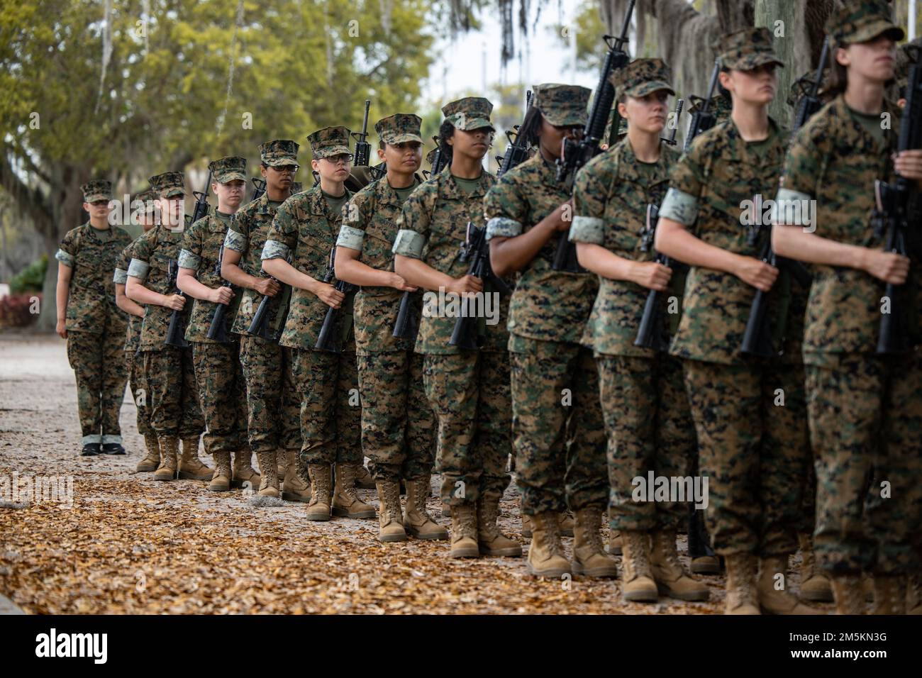 Recruits with Lima Company, 3rd Recruit Training Battalion, execute ...