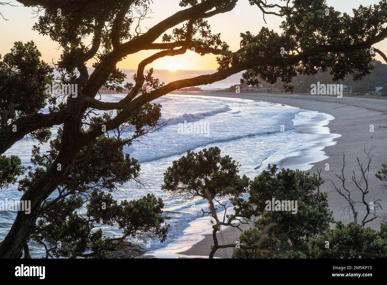 Mount Maunganui landscape view of ocean beach through twisted ...