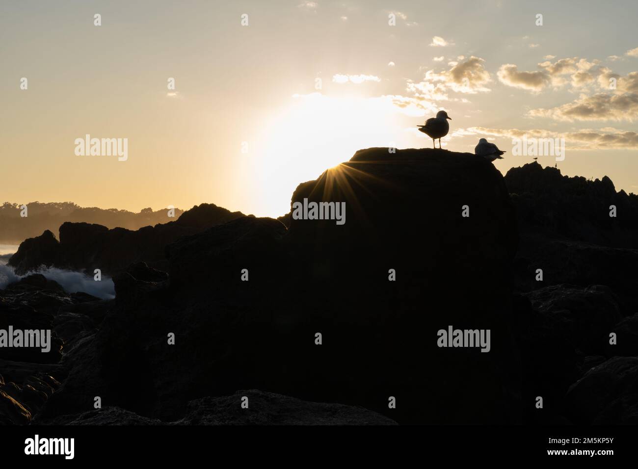 Mount Maunganui landscape at sunrise from base of mount, New Zealand ...