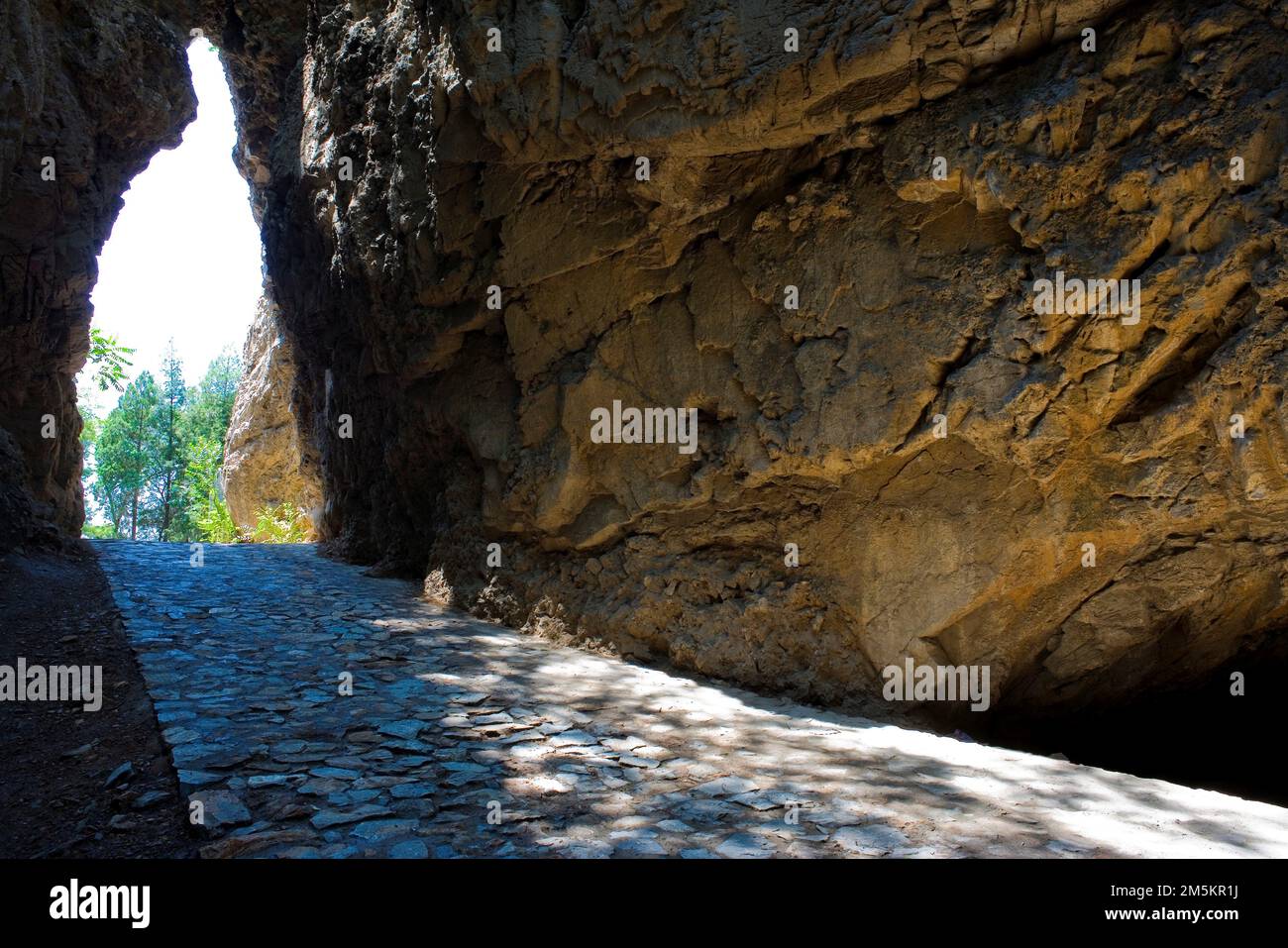 Peking man beijing zhoukoudian hi-res stock photography and images - Alamy