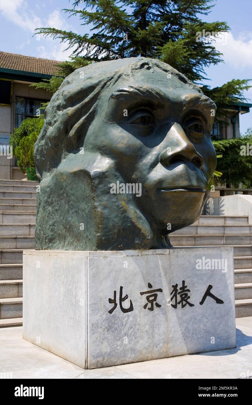Beijing ape man hi-res stock photography and images - Alamy