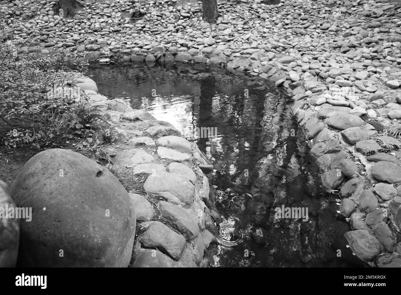 A tiny water stream Charles Krutch Park in Knoxville, grayscale Stock ...