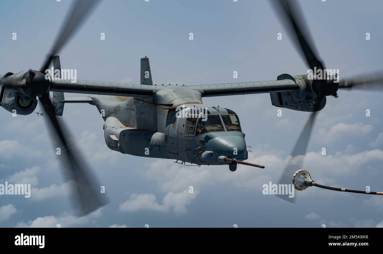 An MV-22B Osprey tiltrotor aircraft from Marine Medium Tiltrotor ...