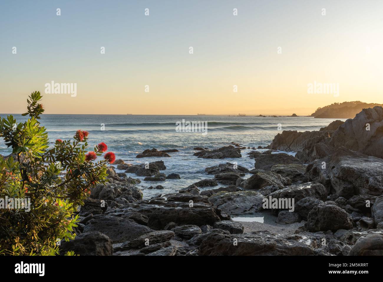 Mount Maunganui landscape at sunrise from base of mount, New Zealand ...
