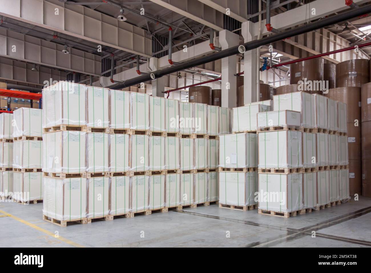 A Paper Pallets Placed in a Warehouse Stock Photo - Alamy