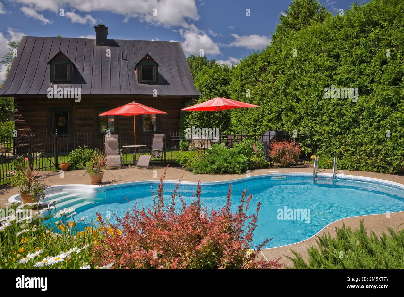 Reconstructed 1840s log home with inground pool in landscaped backyard ...