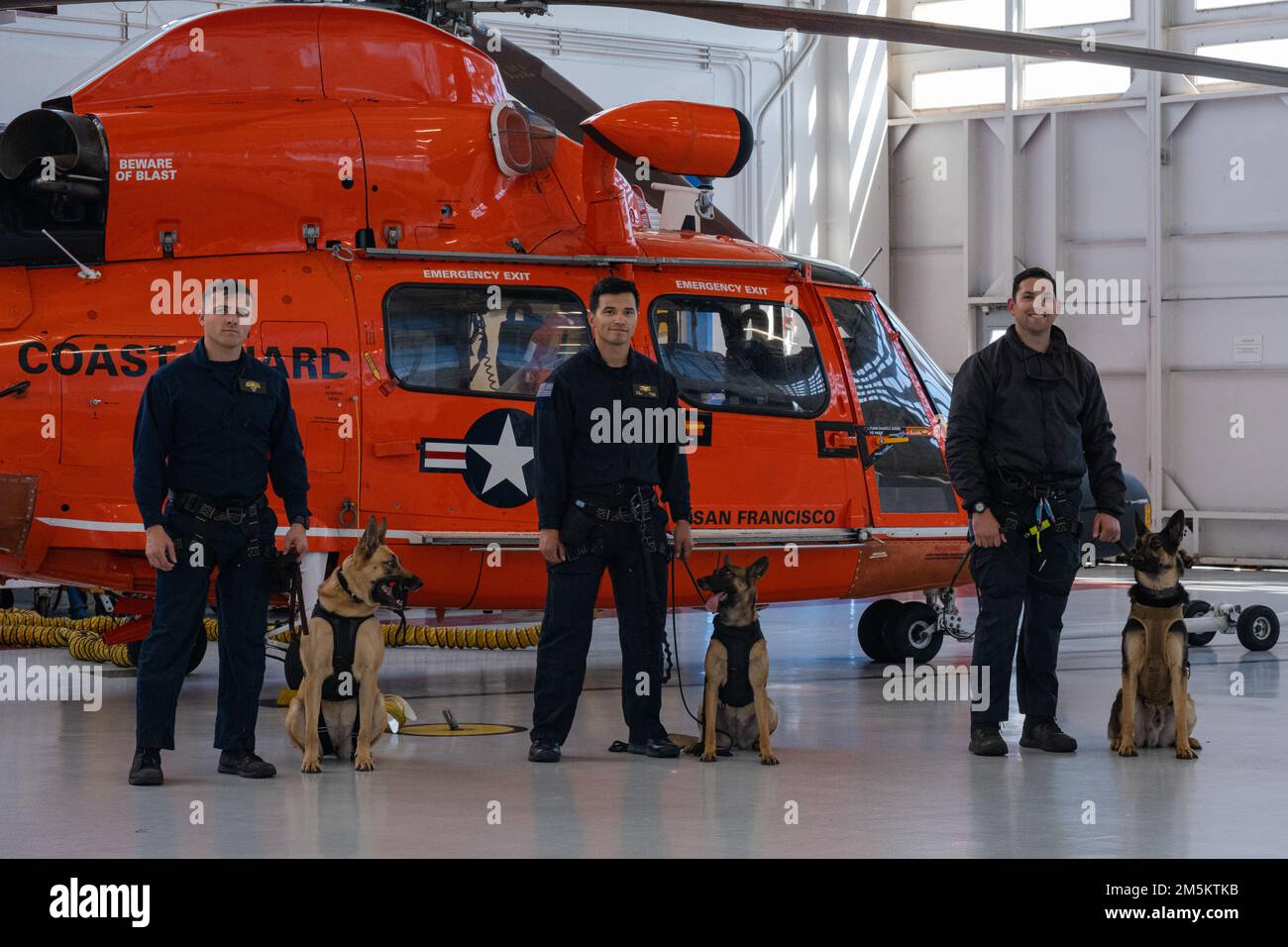 Several Coast Guard K-9s and their handlers pose for a group portrait ...