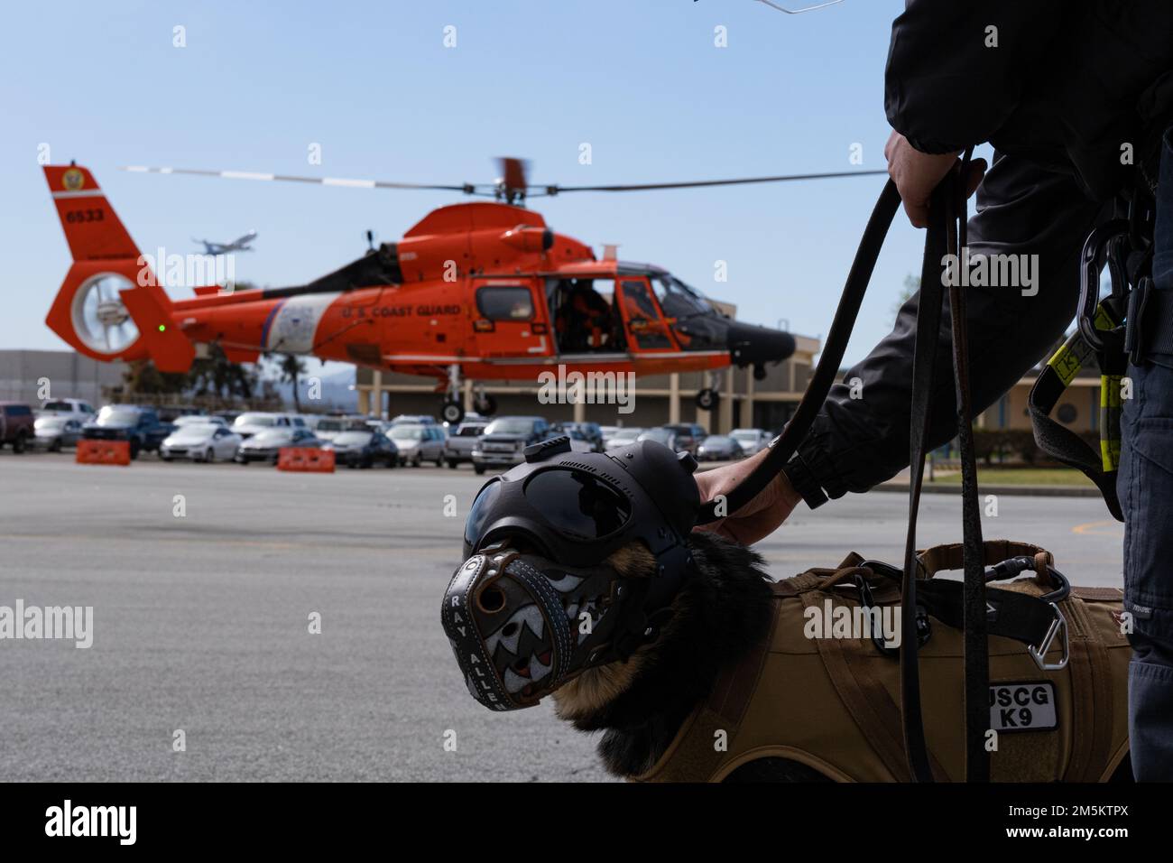 Coast Guard K-9 Petty Officer 1st Class Beny poses for a photo on the ...