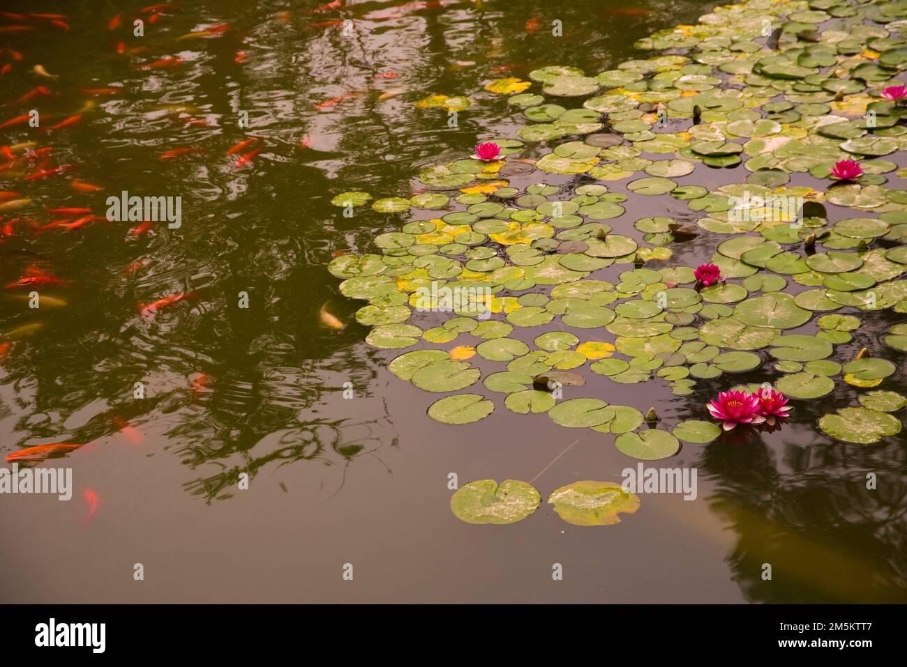 Xian huaqing palace hi-res stock photography and images - Alamy