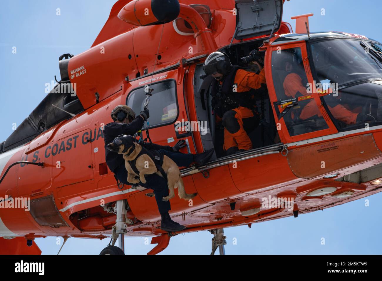 Coast Guard K-9 Petty Officer 1st Class Kelly and her handler Maritime ...
