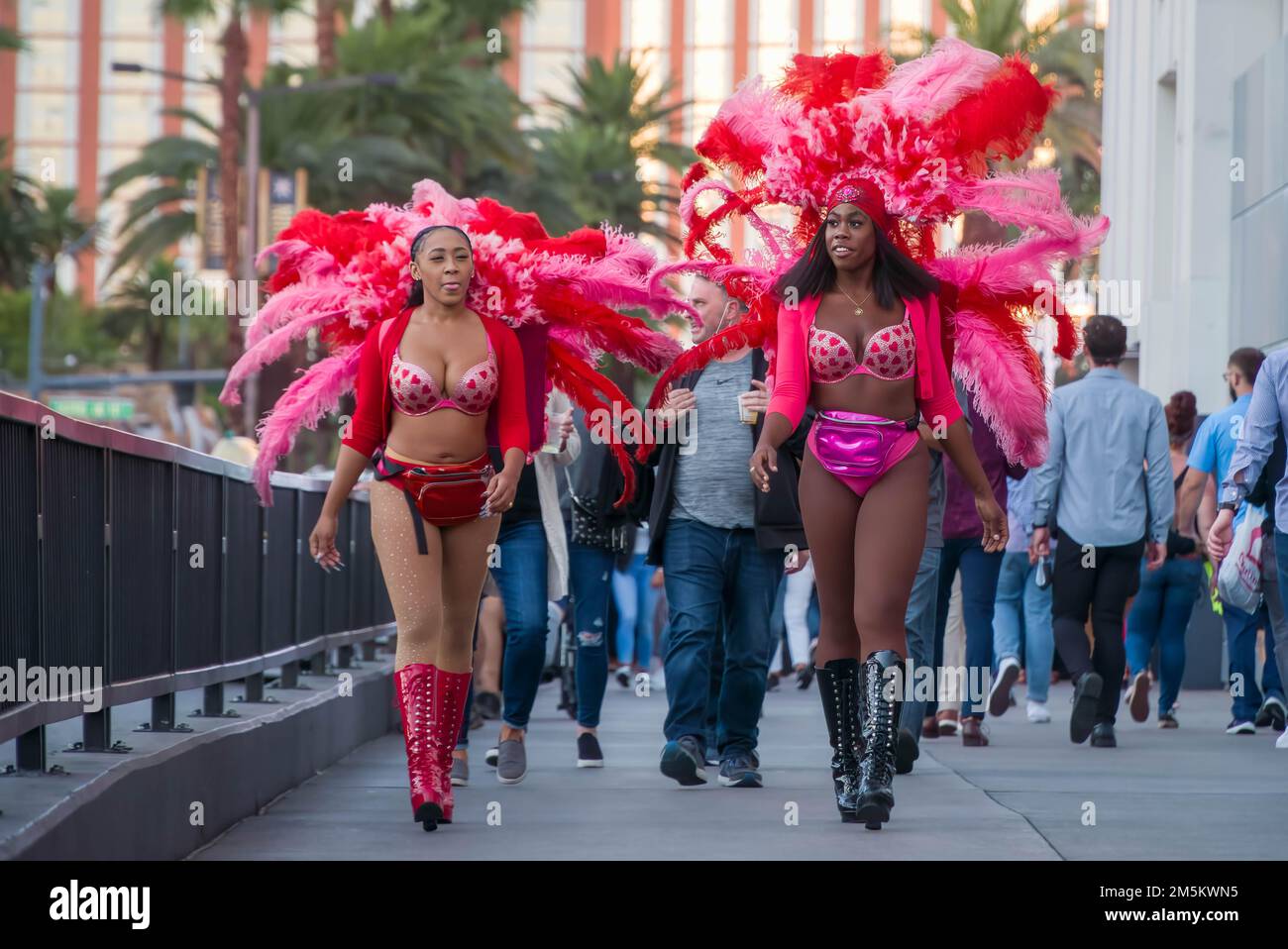 Showgirls Las Vegas: A Dazzling Spectacle Of Lights, Feathers, And Glamour