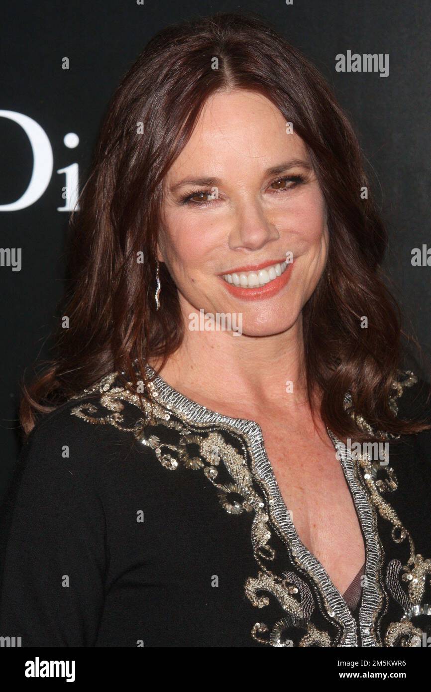 Barbara Hershey attends the premiere of Fox Searchlight Pictures ...