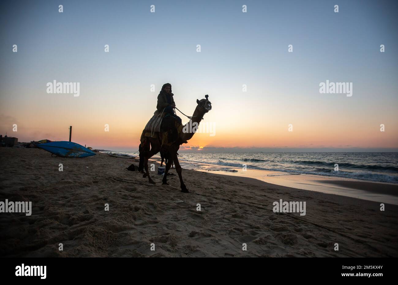 A Palestinian rides a camel during sunset on the shores of the ...