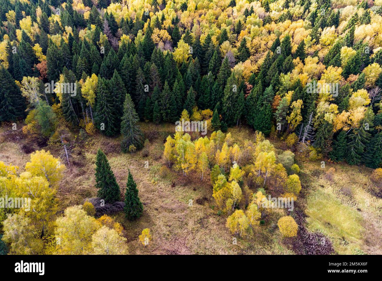 Flight over autumn forest crowns hi-res stock photography and images ...