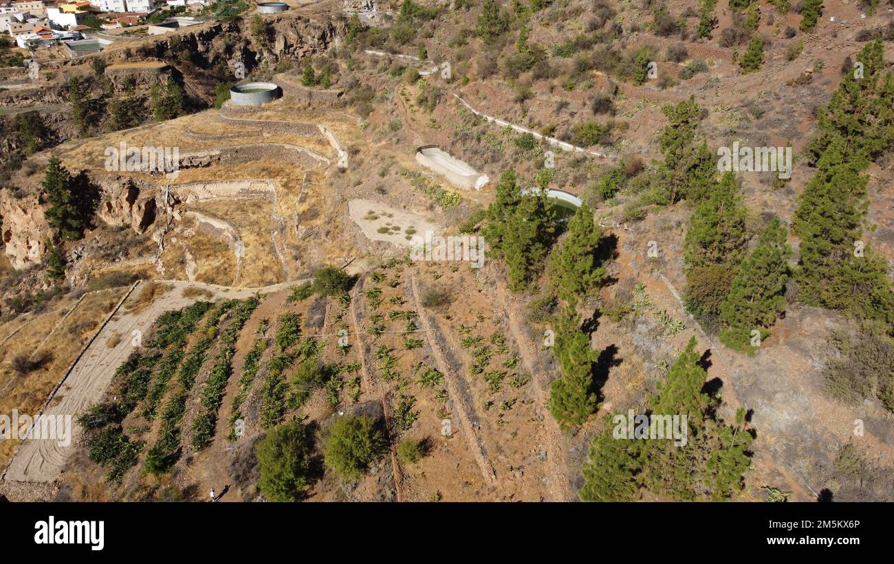 An aerial shot of terrace farms on mountainside, Tenerife, Canary ...