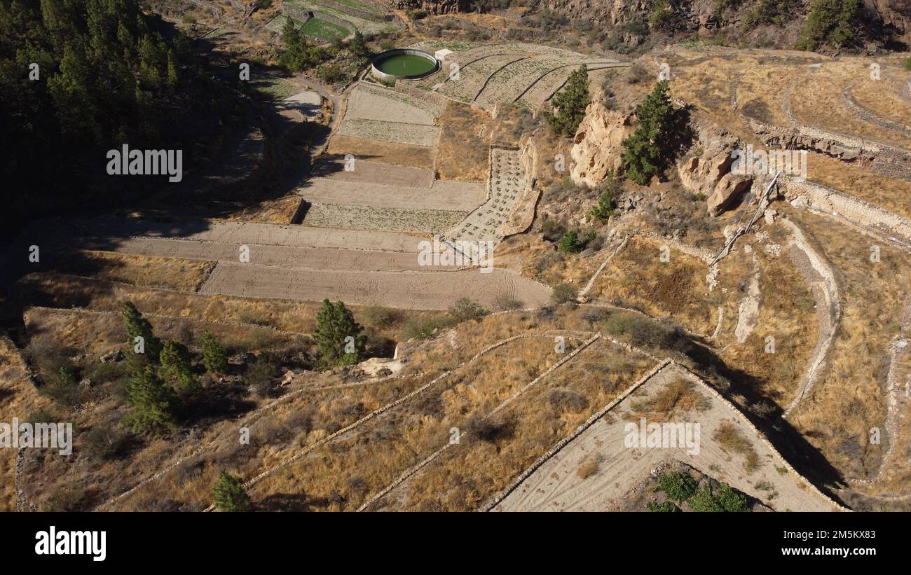 An aerial shot of terrace farms on mountainside, Tenerife, Canary ...