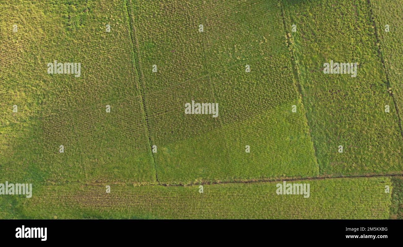Ariel view top down hi-res stock photography and images - Alamy