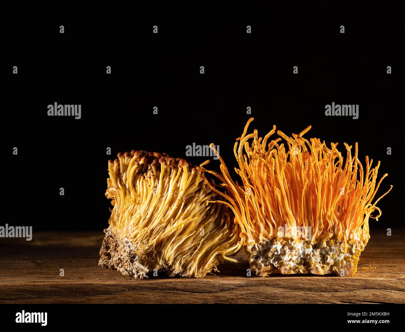 Different types of mushrooms on an old chopping board Stock Photo - Alamy