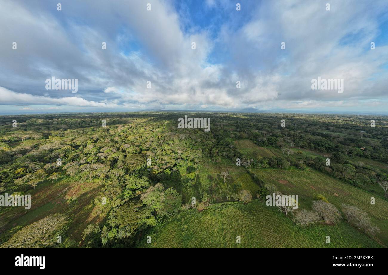 Jungle landscape hi-res stock photography and images - Alamy