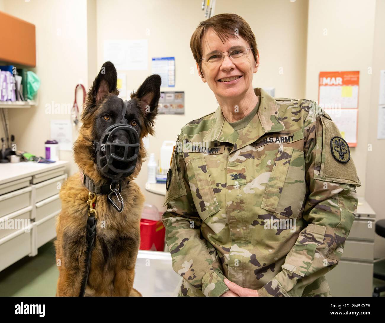 U s army animal care hi-res stock photography and images - Alamy