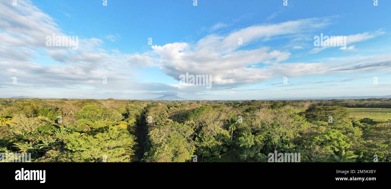 Forest road view hi-res stock photography and images - Alamy