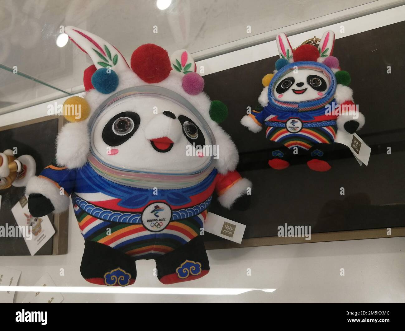 The new image of Bing Dwen Dwen, dressed as Lord Rabbit made its debut ...