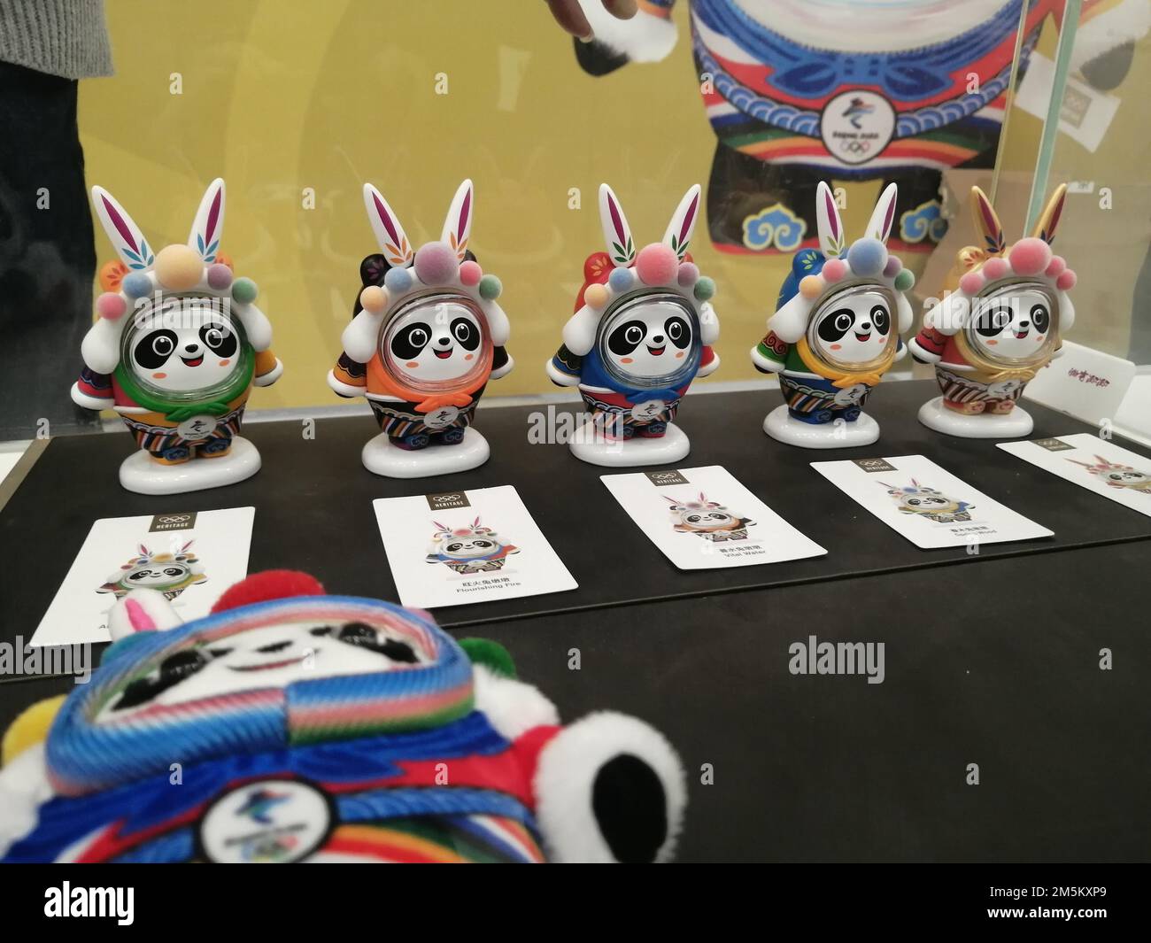 The new image of Bing Dwen Dwen, dressed as Lord Rabbit made its debut ...