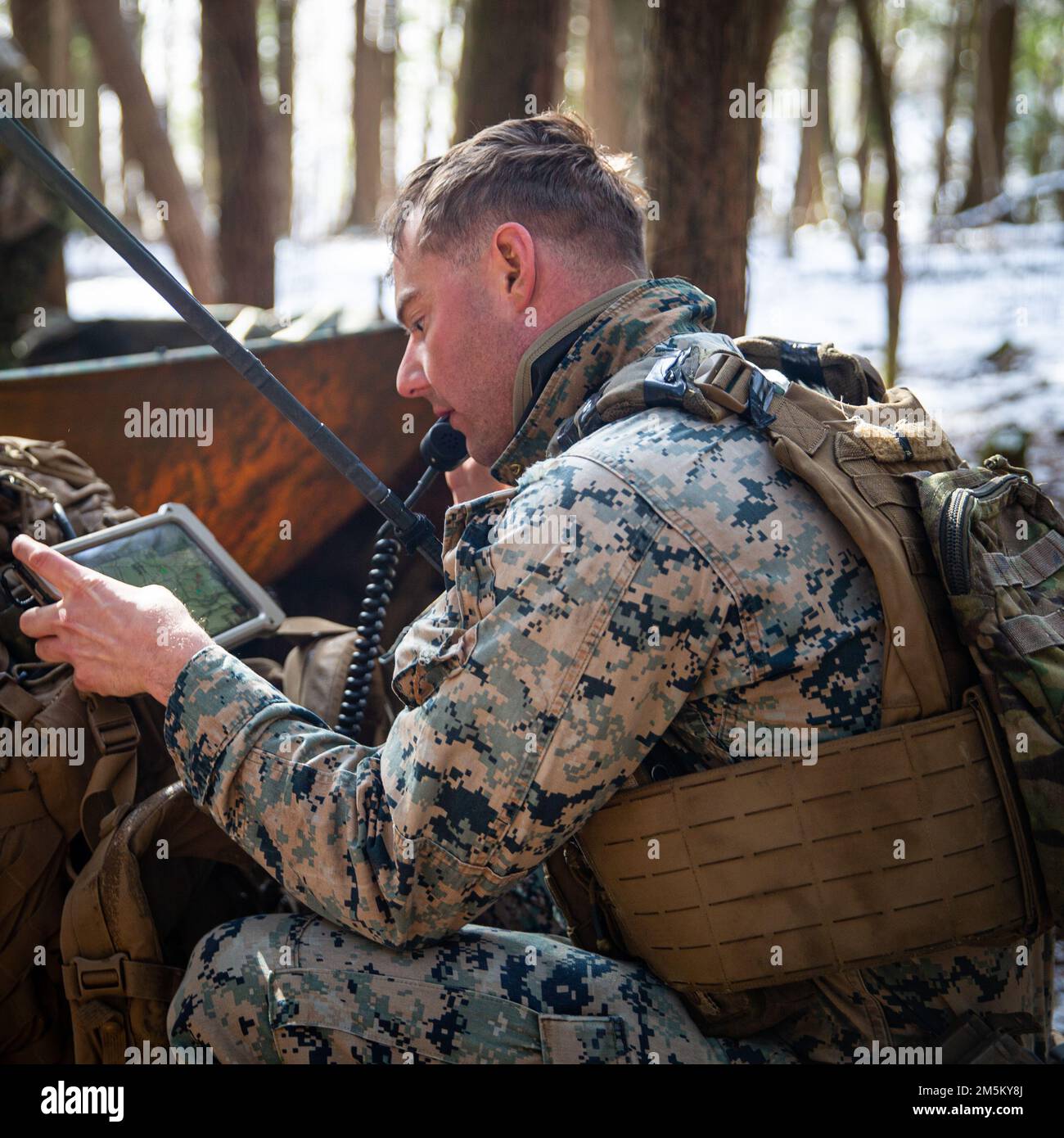 A U.S. Marine with Battalion Landing Team 1/5 (BLT 1/5), 31st Marine ...
