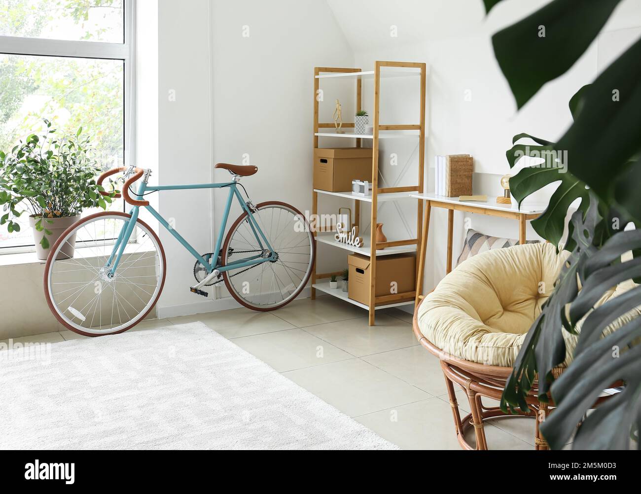 Interior of light living room with bicycle and shelving unit Stock ...