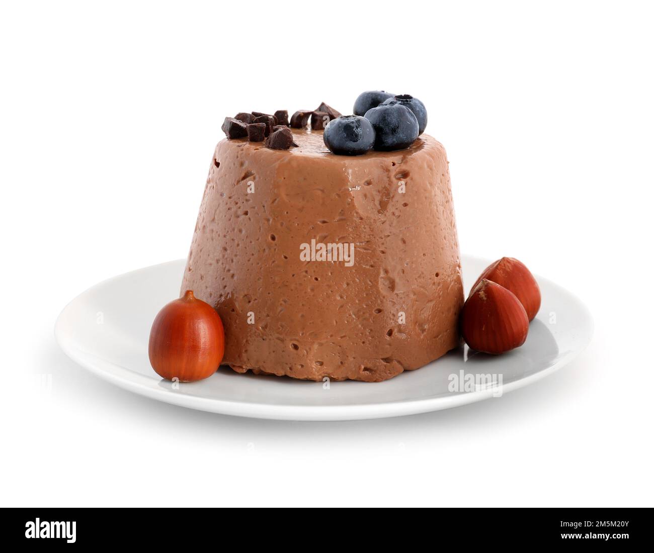 Delicious pudding with chocolate, hazelnuts and blueberry on plate ...