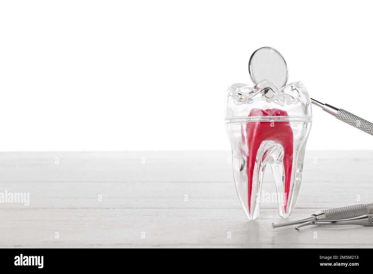 Plastic tooth with dental tools on table against white background Stock ...