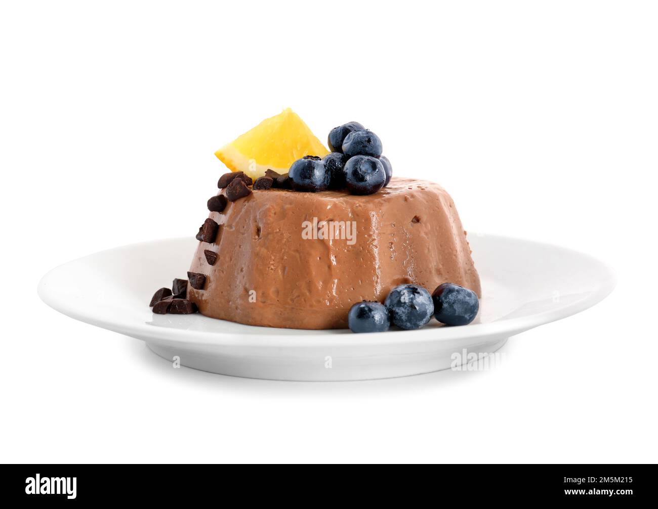 Delicious pudding with chocolate, lemon slice and blueberry on plate ...