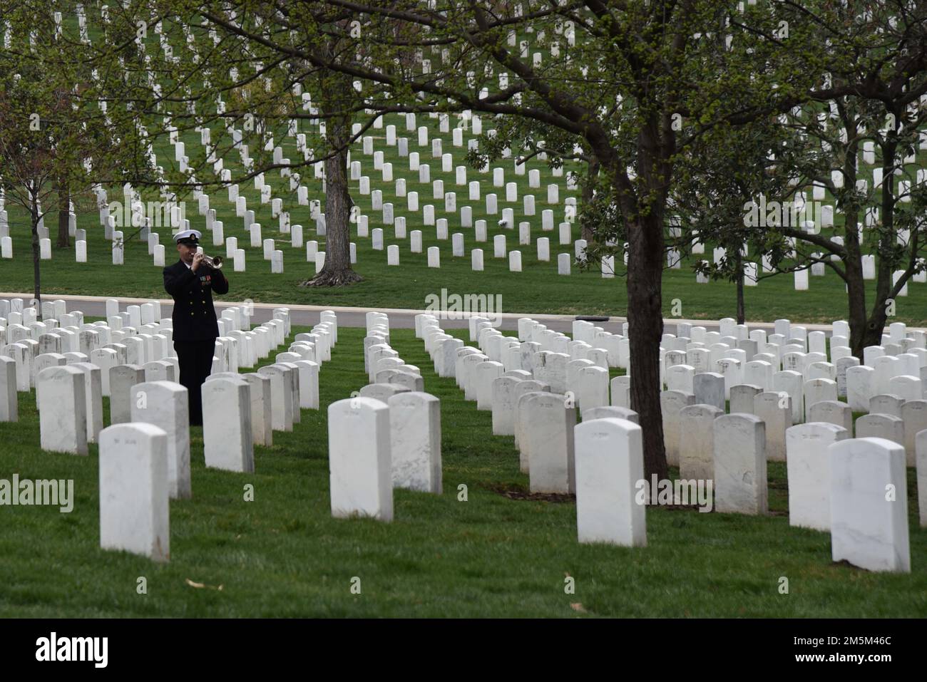 Navy Seaman 1st Class Walter C. Stein, 20, of Cheyenne, Wyoming, killed ...