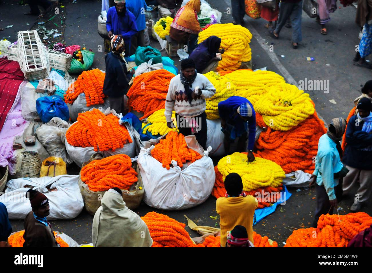 Mallick Ghat is one of the biggest flower markets in Asia. Early ...