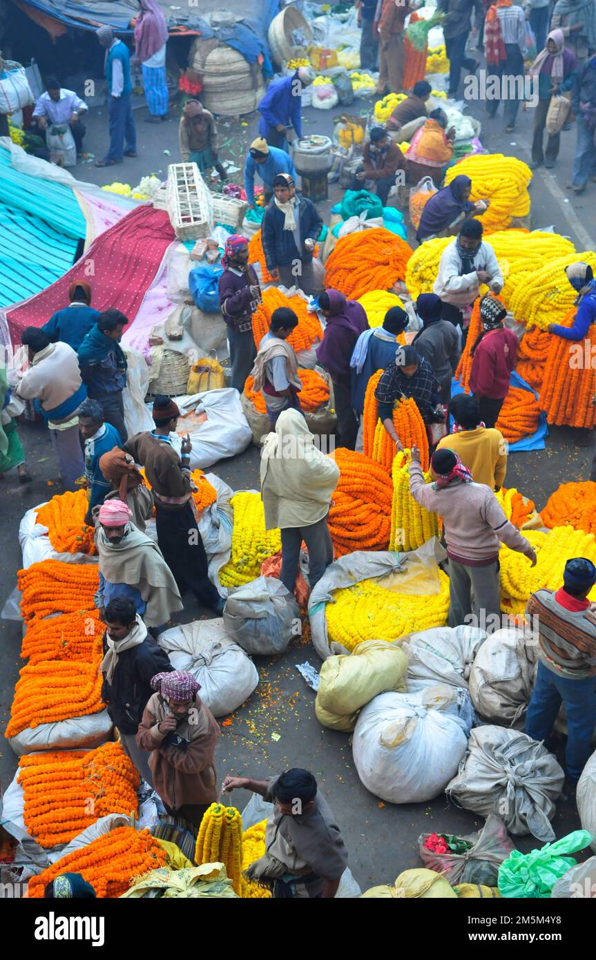 Mallick Ghat is one of the biggest flower markets in Asia. Early ...