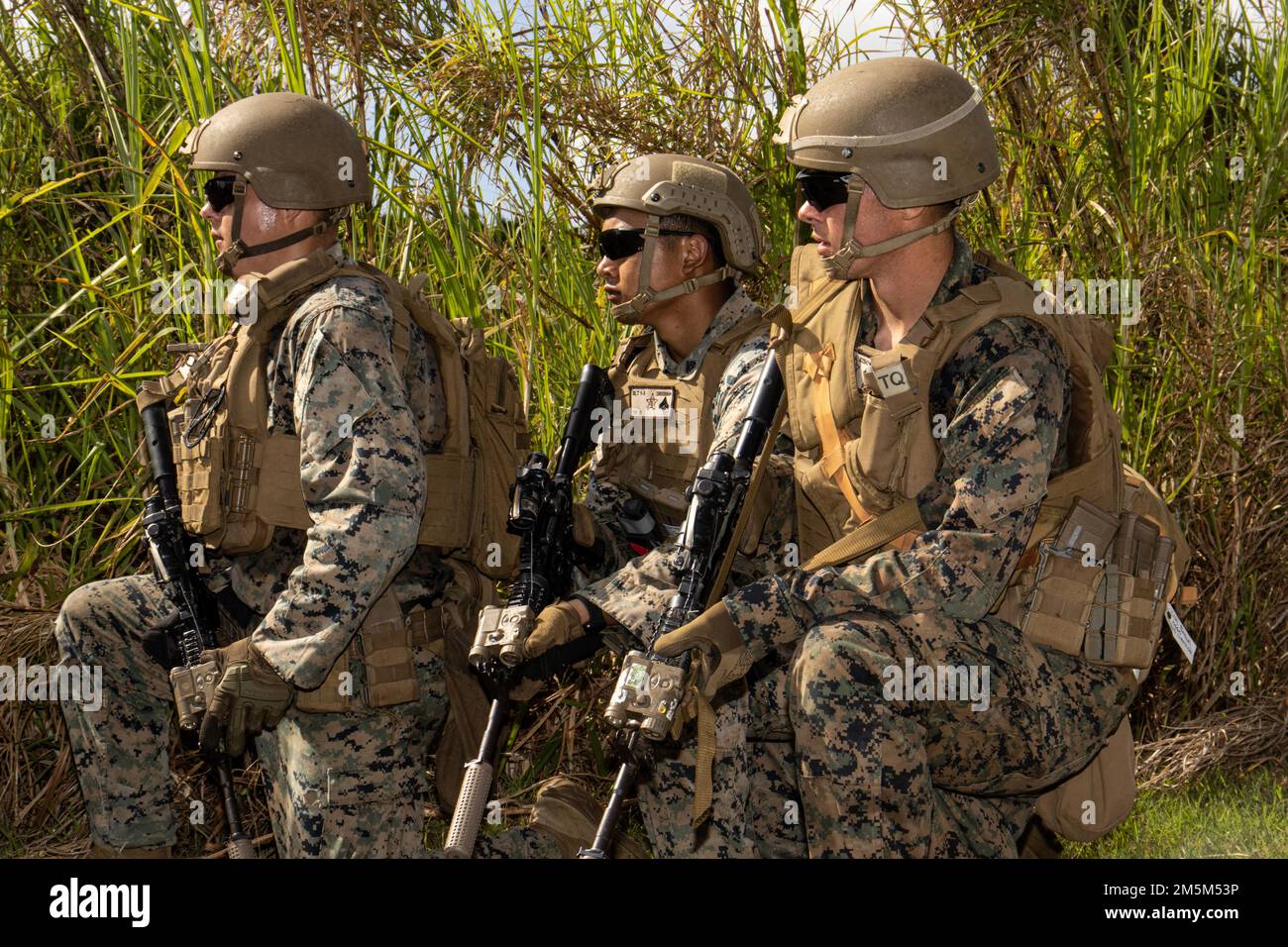 U.S. Marines with Battalion Landing Team 1/5, 31st Marine Expeditionary ...