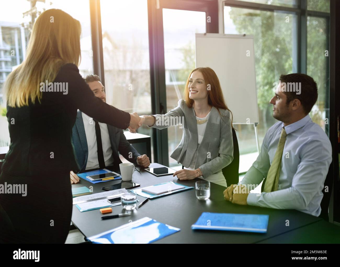 Its a pleasure to meet you. colleagues shaking hands during a formal ...