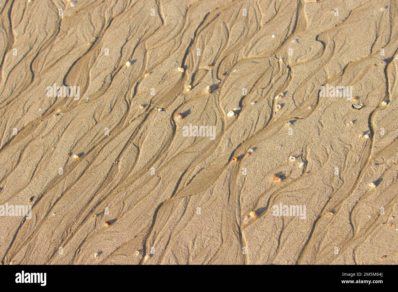Wet sand background texture pattern Stock Photo - Alamy