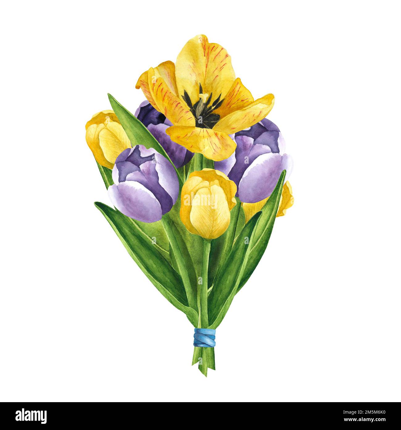 Tulips yellow and violet colors bouquet on white background. Watercolor ...