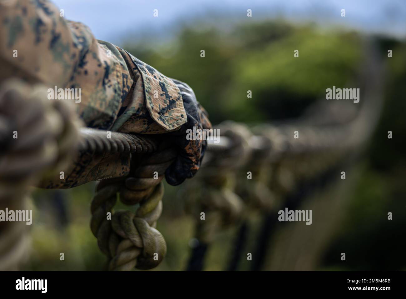 Okinawa rail hi-res stock photography and images - Alamy