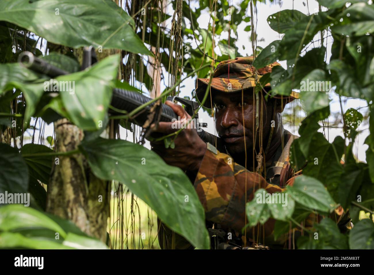 U.S. Army Soldiers from the 130th Engineer Brigade trains the Papua New ...