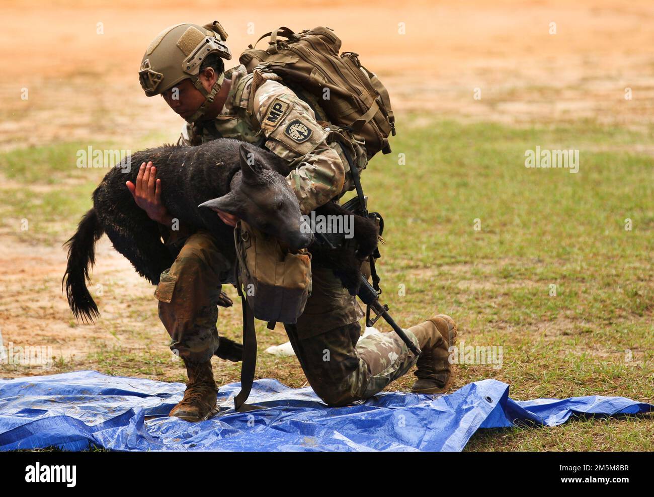 Public safety aide hi-res stock photography and images - Alamy
