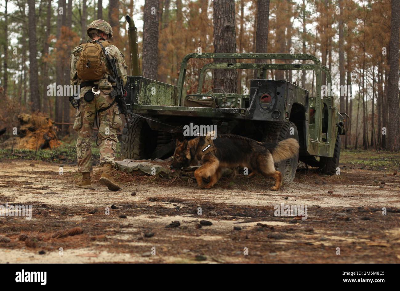 Spc. Christopher LaBelle and MWD Orca, 550th MWD Detachment, walk ...
