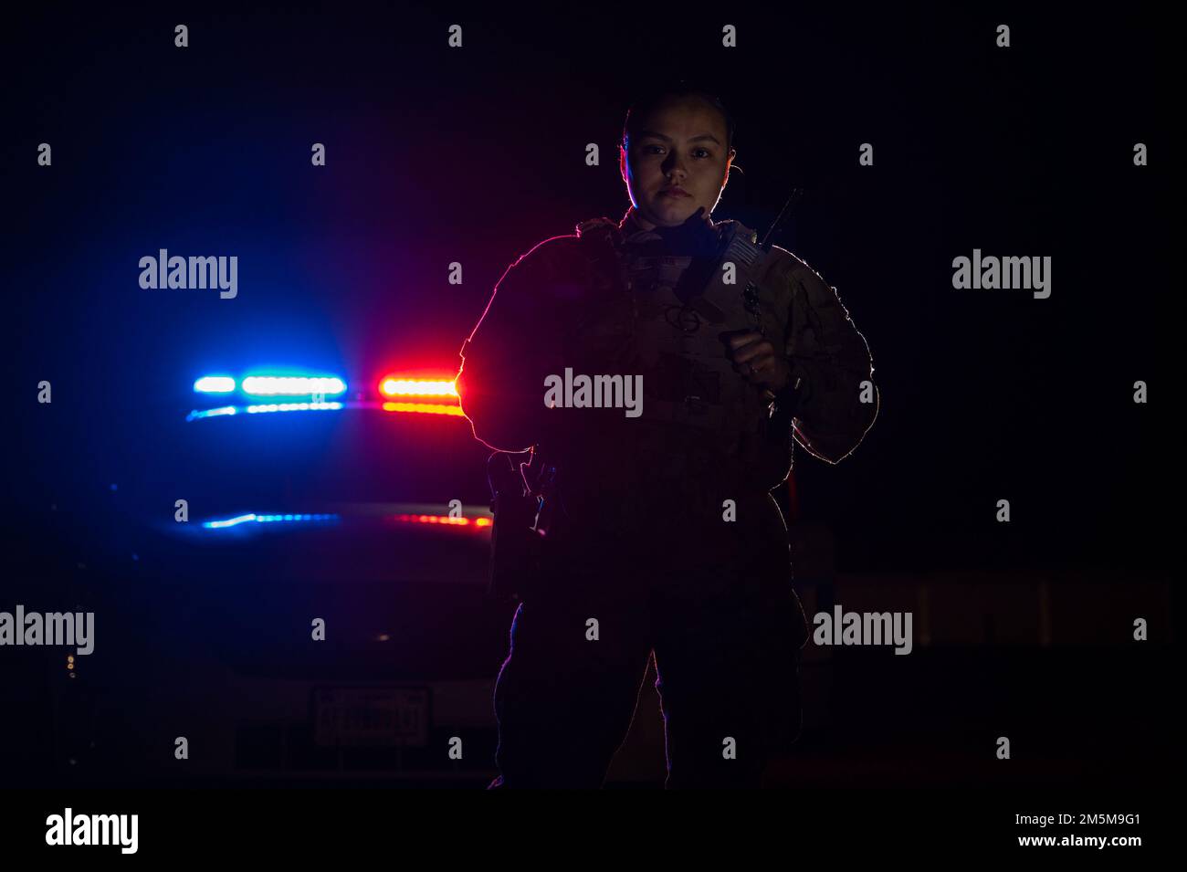 325th security forces squadron hi-res stock photography and images - Alamy