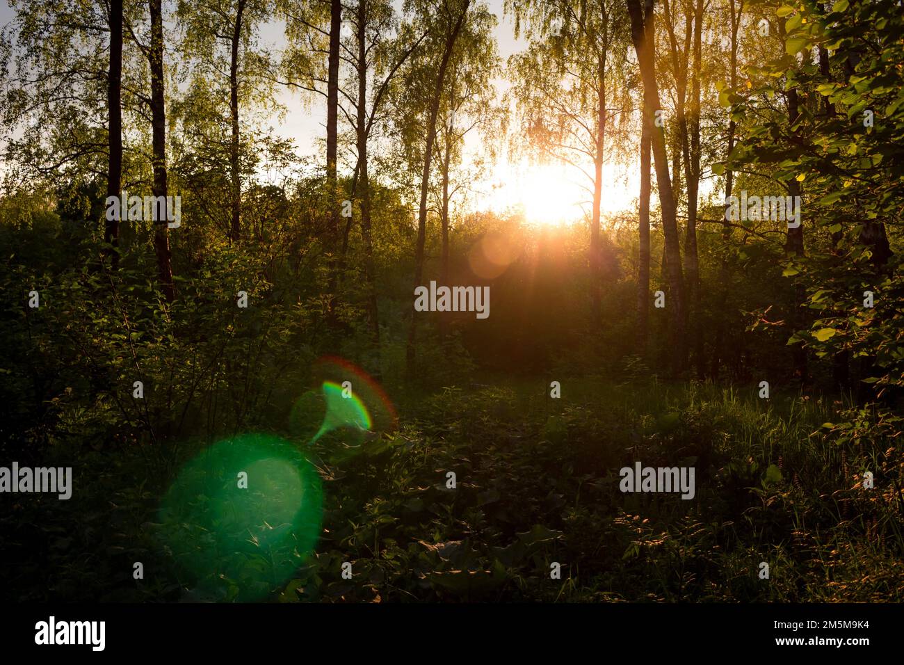 Optical reflections hi-res stock photography and images - Alamy