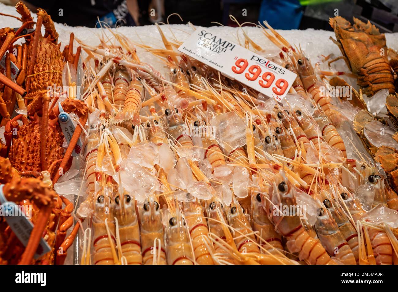 Display of scampi for sale in Sydney Fish Market, Sydney, New South ...