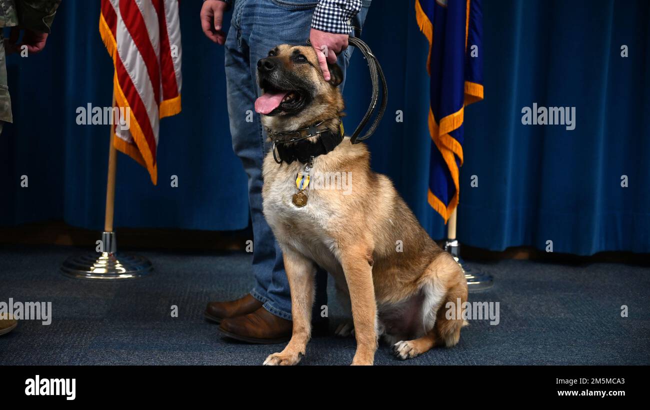 U.S. Air Force 377th Security Forces Squadron Military Working Dog ...