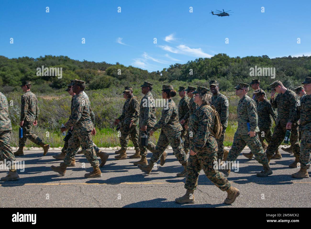 U.S. Marines with Marine Medium Tiltrotor Squadron 362, Marine Aircraft Group 16, 3rd Marine ...