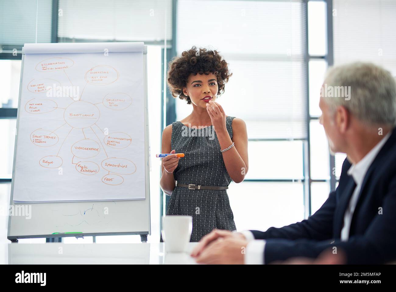 Two people giving a presentation hi-res stock photography and images ...