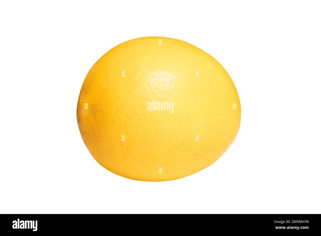 Ripe whole yellow lemon citrus fruit with water drops isolated on white ...